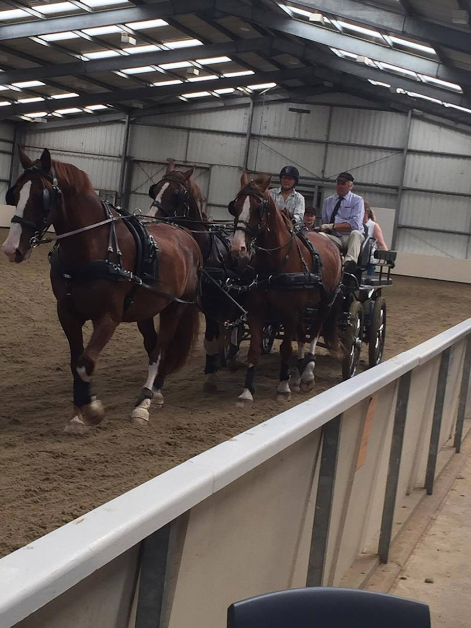 Highsteppers Gallery